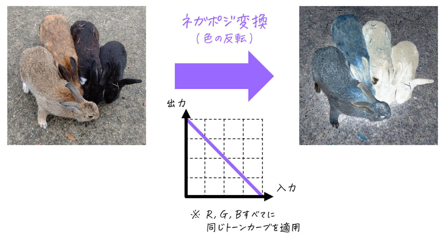 うさぎでもわかる画像処理 Part02 トーンカーブと画像処理 [Python・MATLABコード付き] | 工業大学生ももやまのうさぎ塾