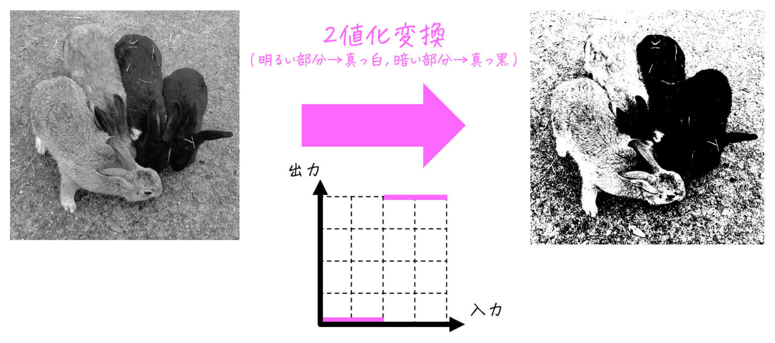うさぎでもわかる画像処理 Part02 トーンカーブと画像処理 [Python・MATLABコード付き] | 工業大学生ももやまのうさぎ塾